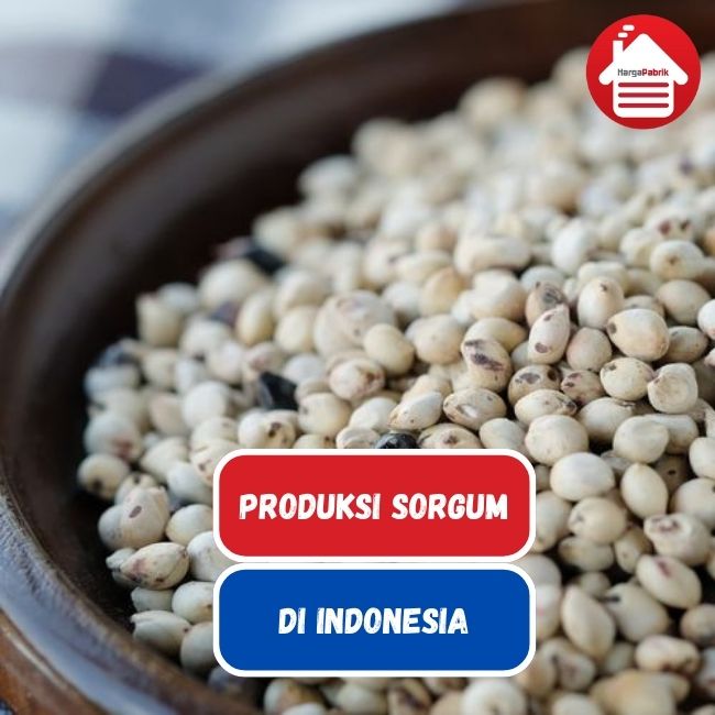 Sorgum: Produksi dan Faktor Pengaruhnya di Indonesia
