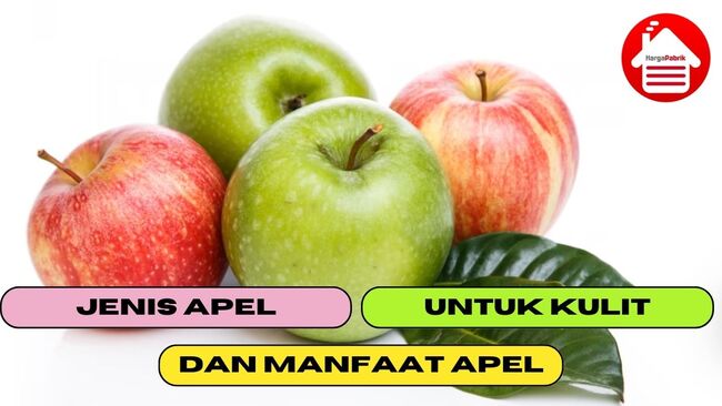 Jenis Apel dan Manfaat Apel Untuk Kulit