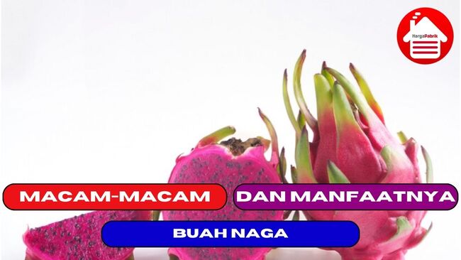 2 Macam Buah Naga dan Kandungan di Dalamnya
