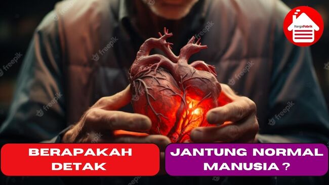 Berapakah Detak Jantung Normal Manusia