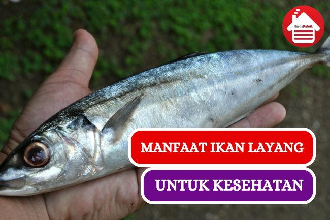 7 Manfaat Ikan Layang Bagi Kesehatan