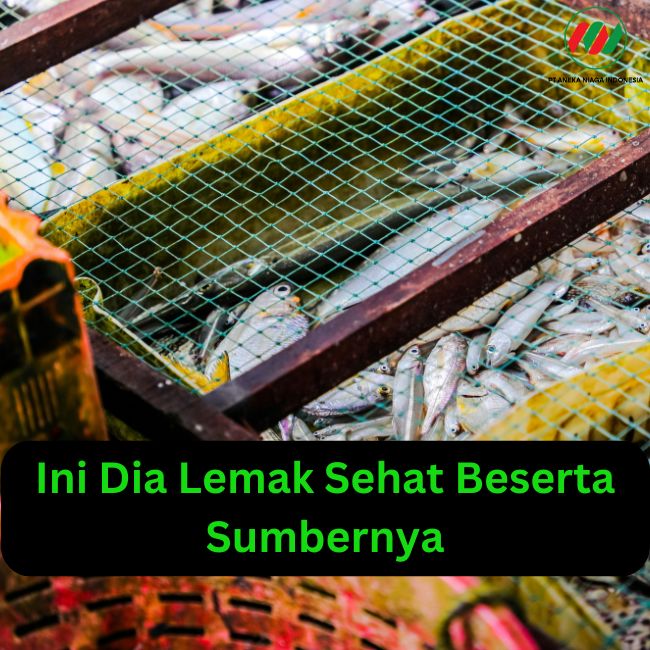 Ini Dia Lemak Sehat Beserta Sumbernya